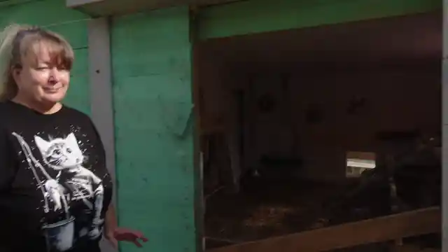 Не просто курятник. Это настоящий арт-объект