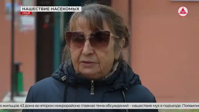 Нашествие мух на жилой дом в Урае