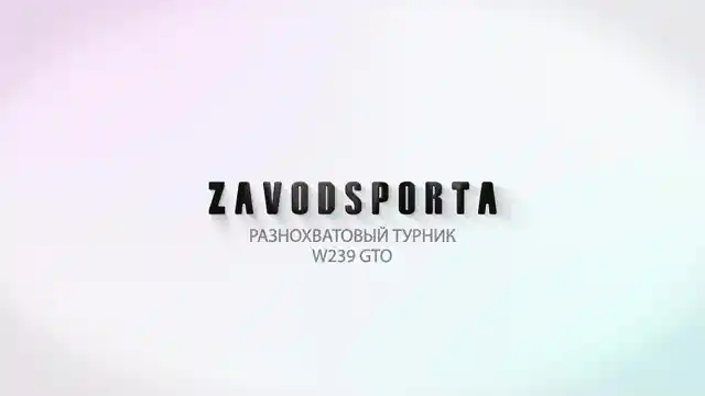 W239 GTO Разнохватовый турник (3 хвата) ZAVODSPORTA