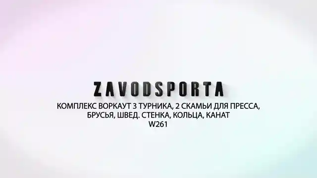 W261 Воркаут (3 турника, 2 скамьи для пресса, брусья, швед. стенка, кольца, канат) ZAVODSPORTA
