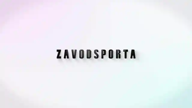 W264 GTO Гимнастический снаряд (шведская стенка) с баскетбольным кольцом ZAVODSPORTA