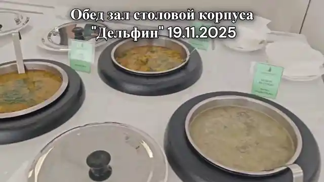 19.11.2025 Обед зал  столовой корпуса Дельфин 2 эт