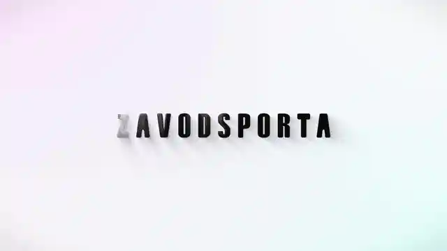W206 Воркаут Брусья гнутые двойные ZAVODSPORTA