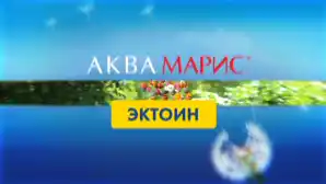 превью