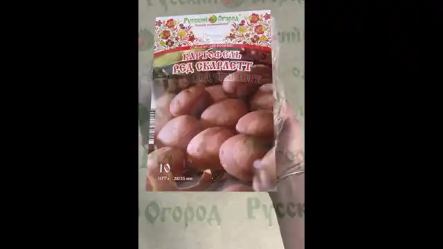 Стандарт поставки видео №1 Картофель Ред Скарлетт