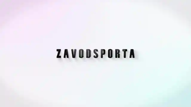 W358 GTO Рукоход с изменением высоты с подвижными кольцами (разноуровневый) ZAVODSPORTA