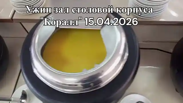 15.04.2026 ужин зал столовой корпуса Коралл, 2 эт.