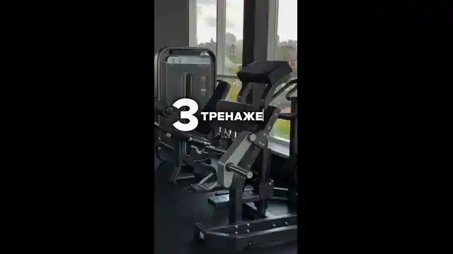 A610 Маятниковые приседания